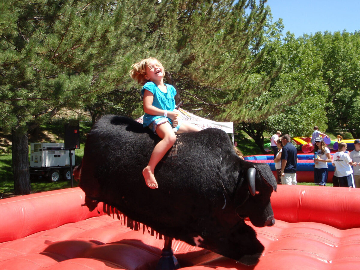 Mechanical ride at the fair ain’t no bull | News, Sports, Jobs ...